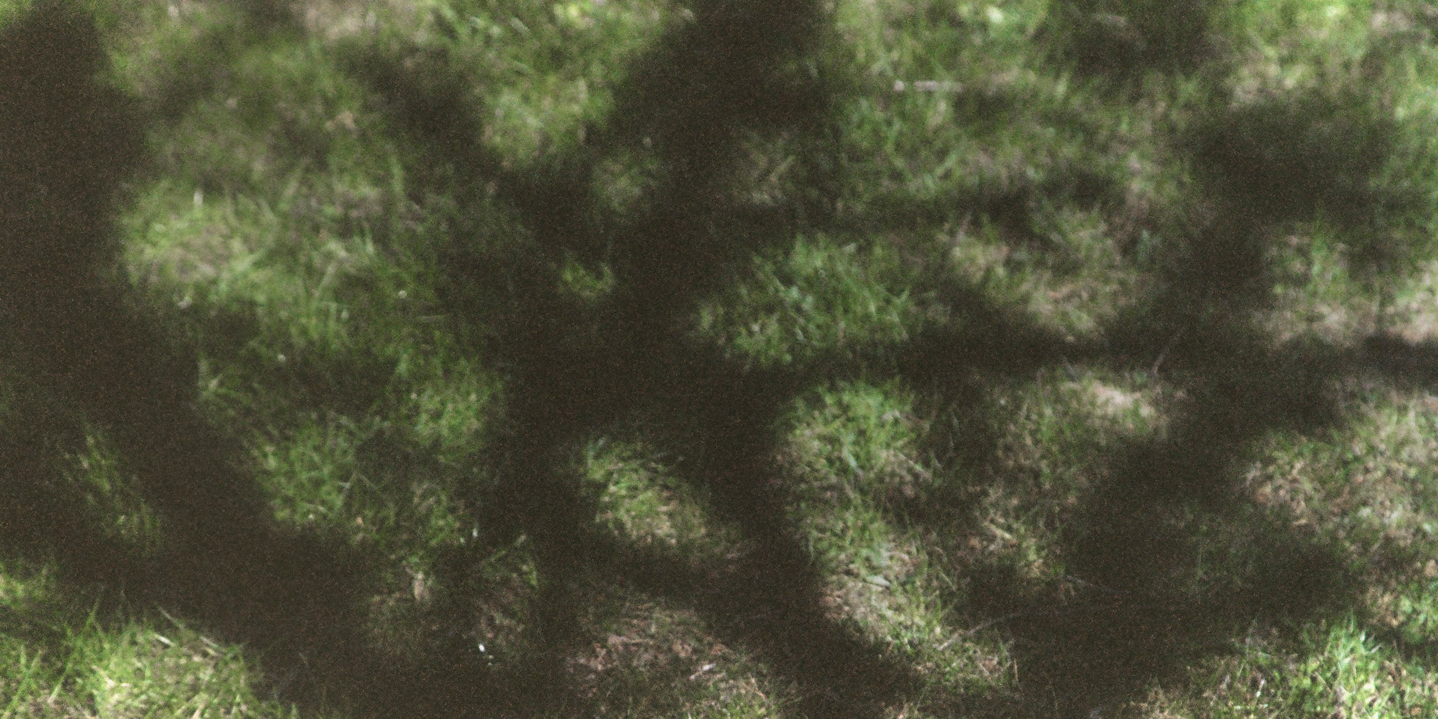 Norse Projects